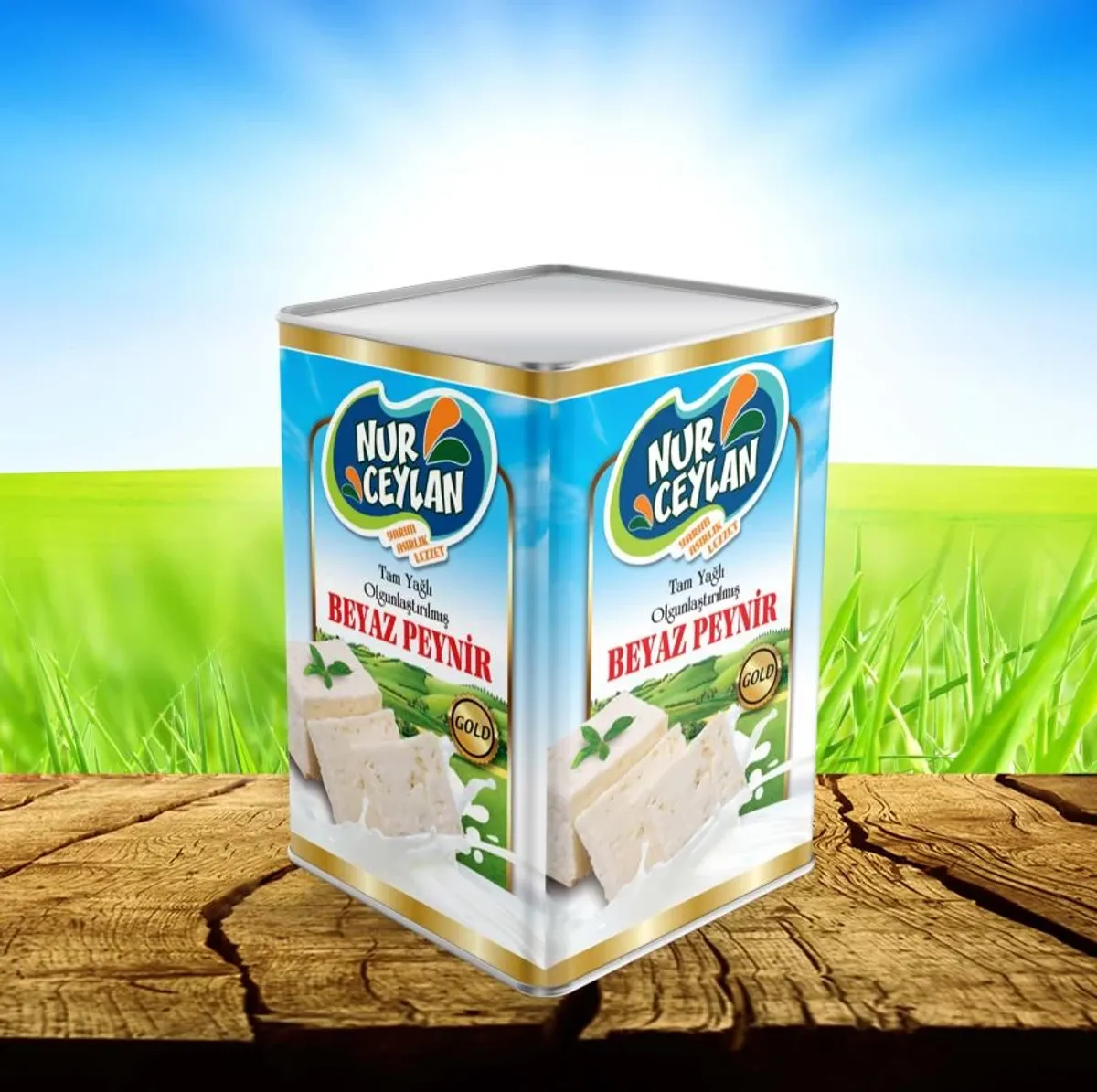 NurCeylan GOLD Ezine Beyaz Peyniri - TENEKE - 18 Kg. - nurceylan.com